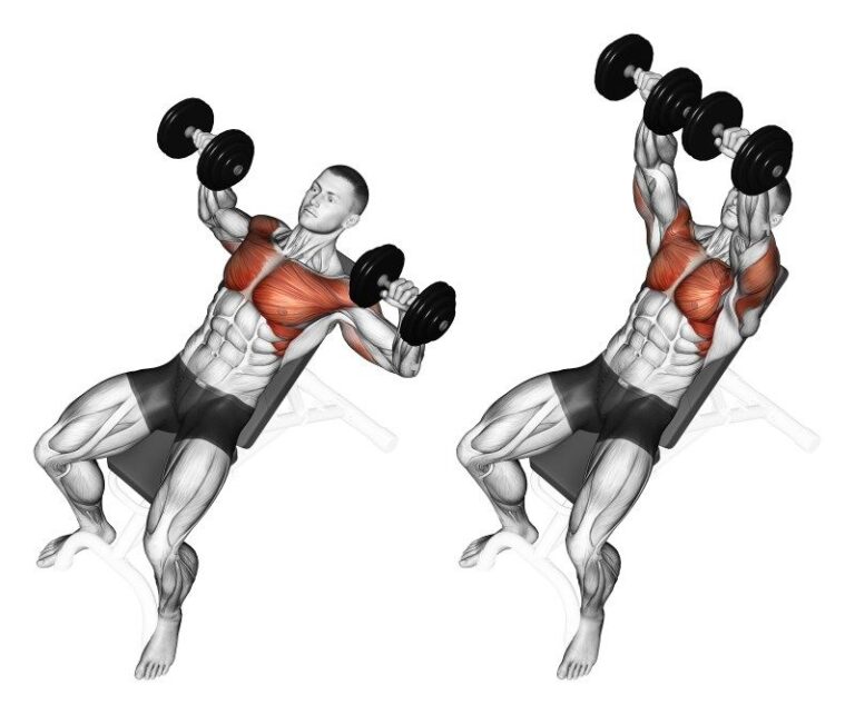 Peitoral: 6 melhores exercícios para peito - Bio Esporte