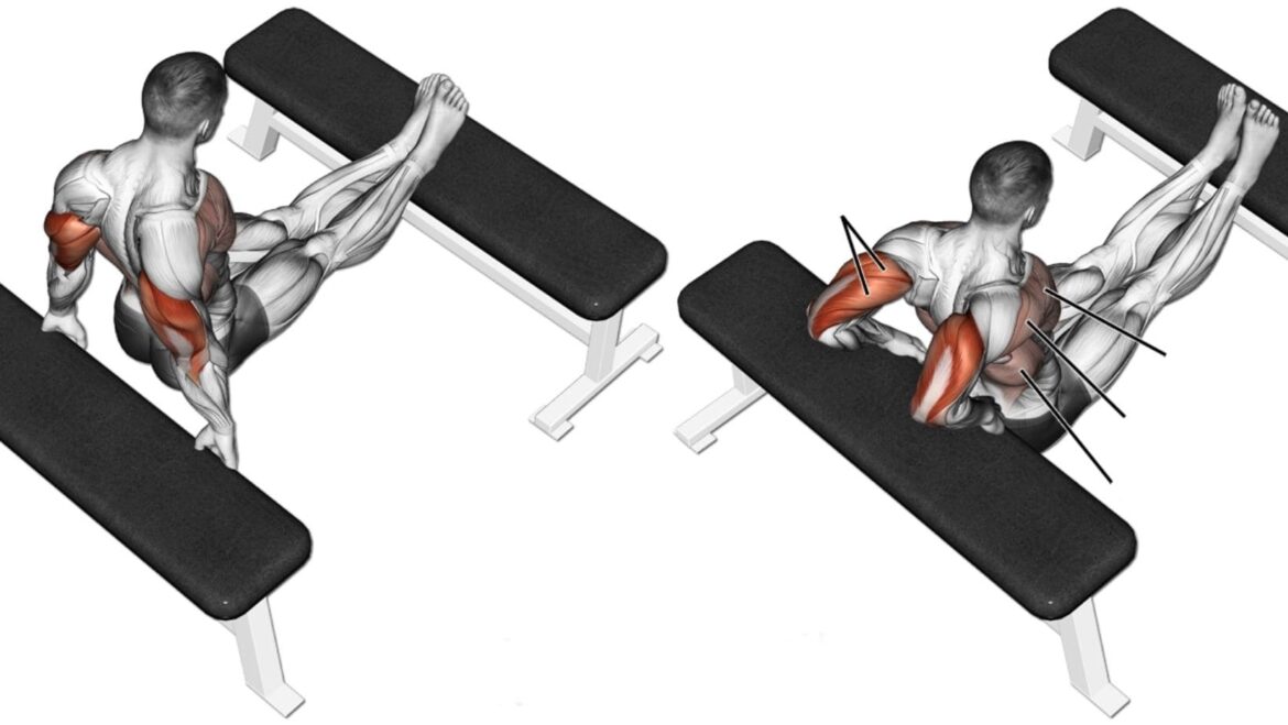 Tríceps definidos: 5 melhores exercícios - BioEsporte